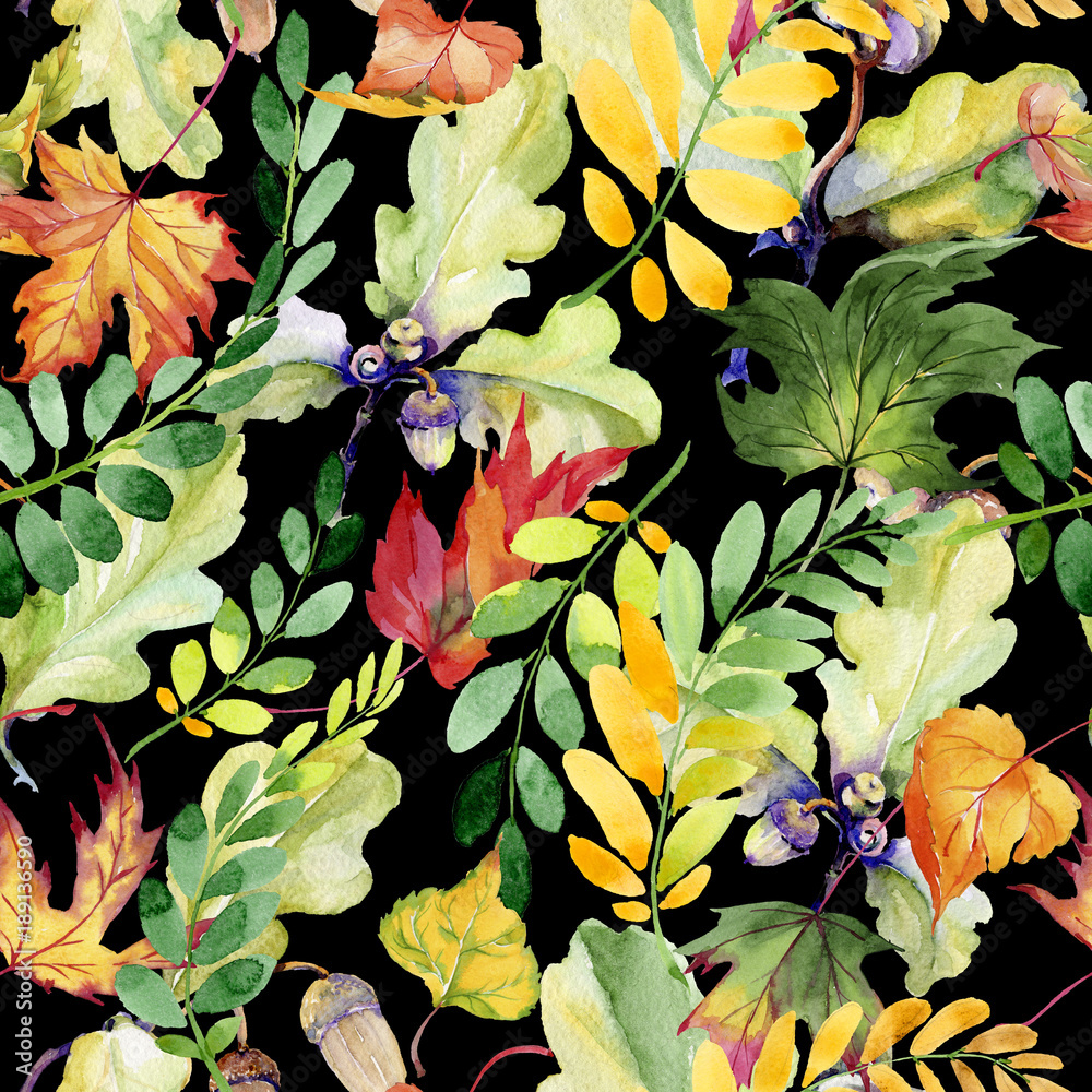 Autumn leaf of acacia pattern in a hand drawn watercolor style ...