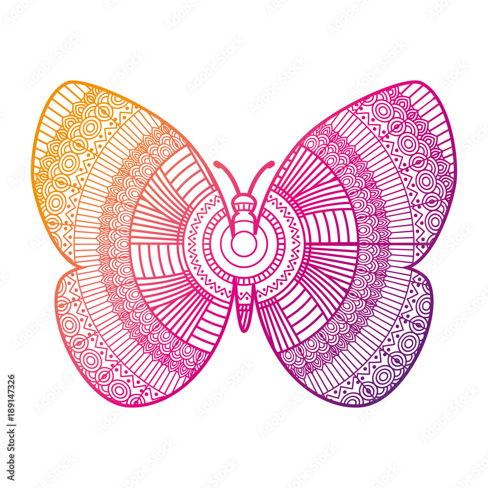 Hand Drawn For Adult Coloring Pages With Butterfly Zentangle Vector