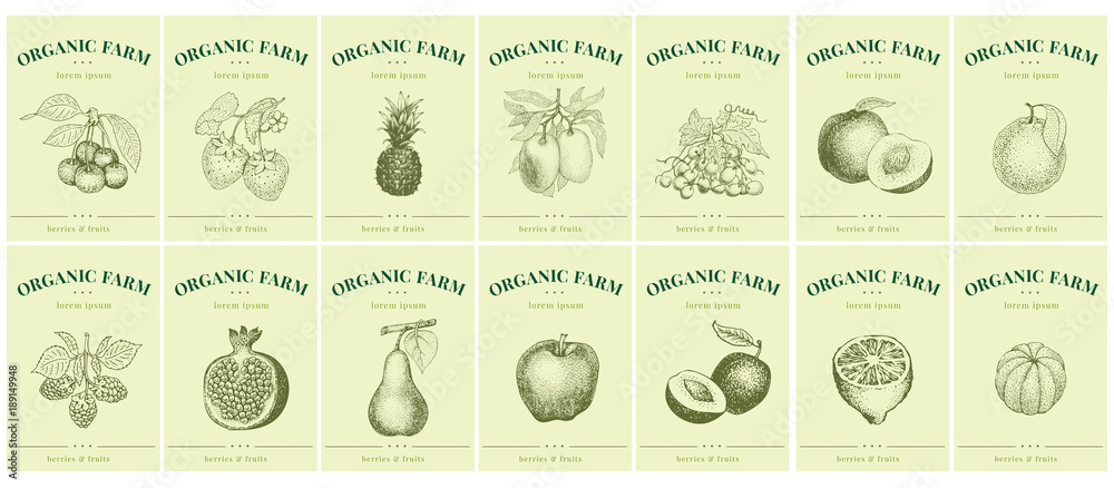 Labels with fruits and berries. Set templates price tags for shops and ...