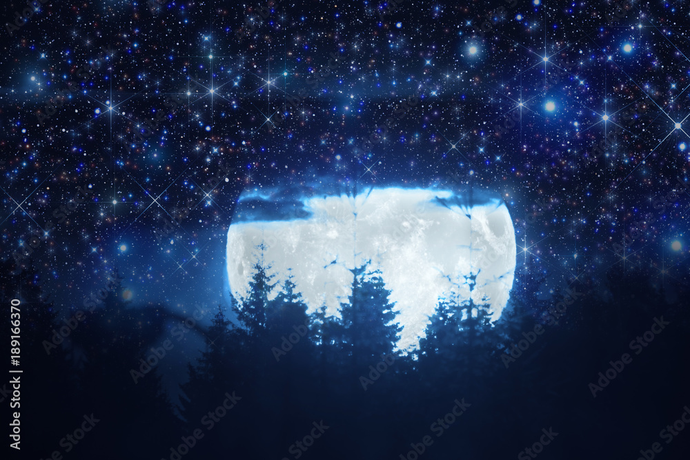 Full Moon rising from the horizon with tree silhouettes and stars ...