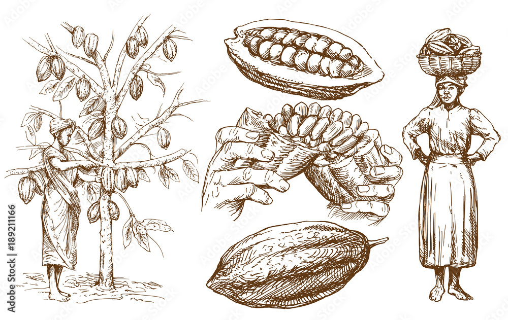 chocolate collection - hand drawn vector illustration Stock Vector ...