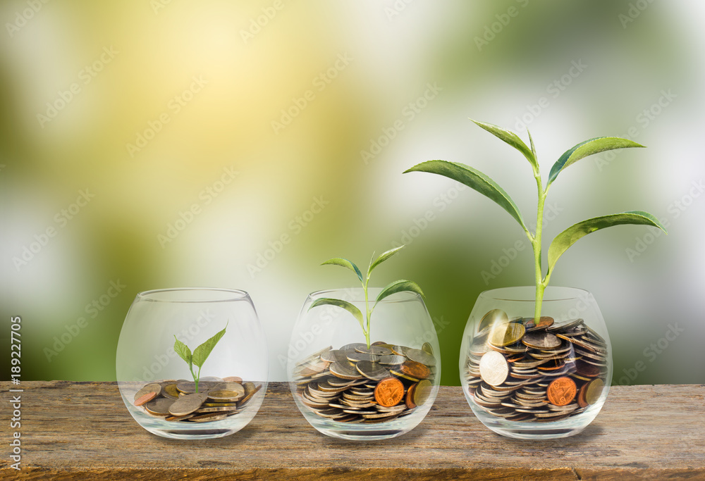 Business Growth Plant