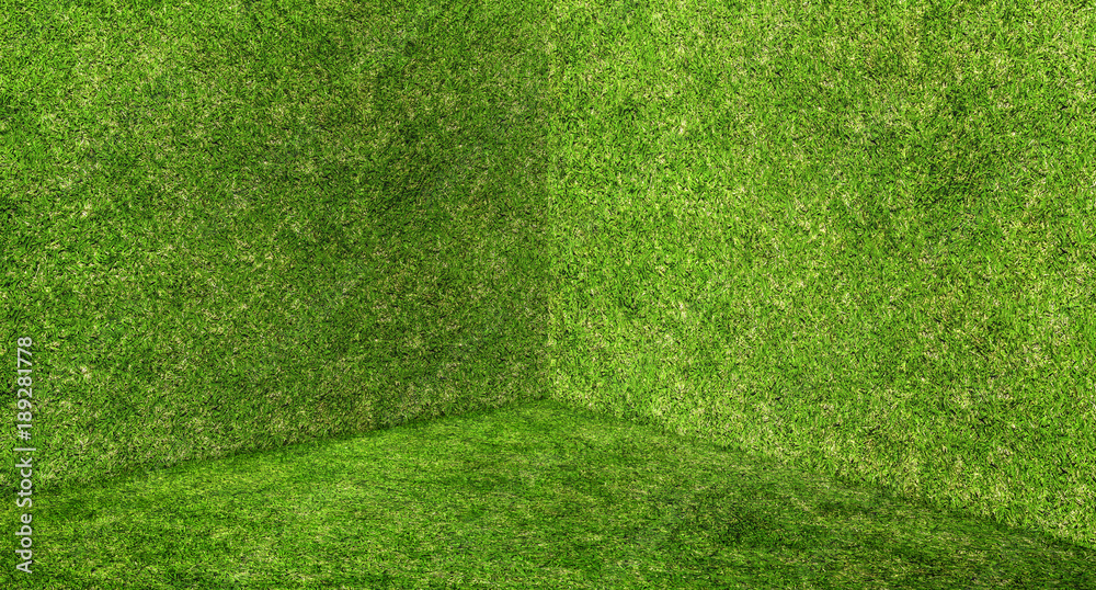 Empty green grass wall and floor corner studio room background,Mock up ...