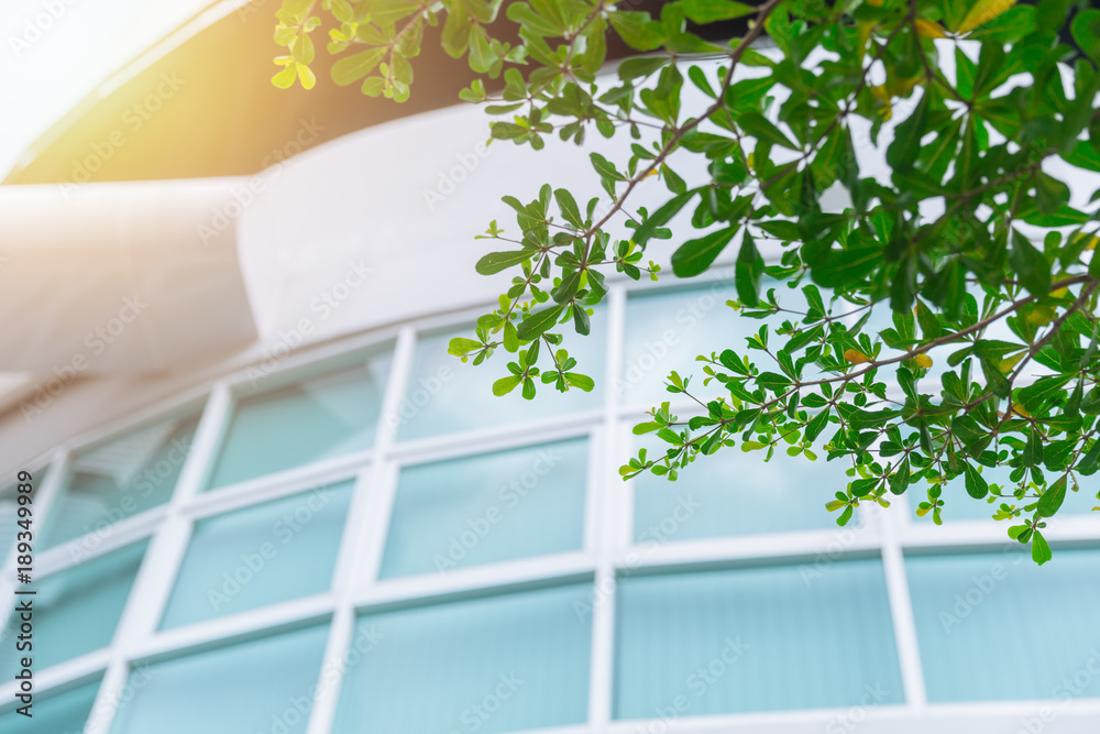 green eco building office windows with tree to save energy concept ...
