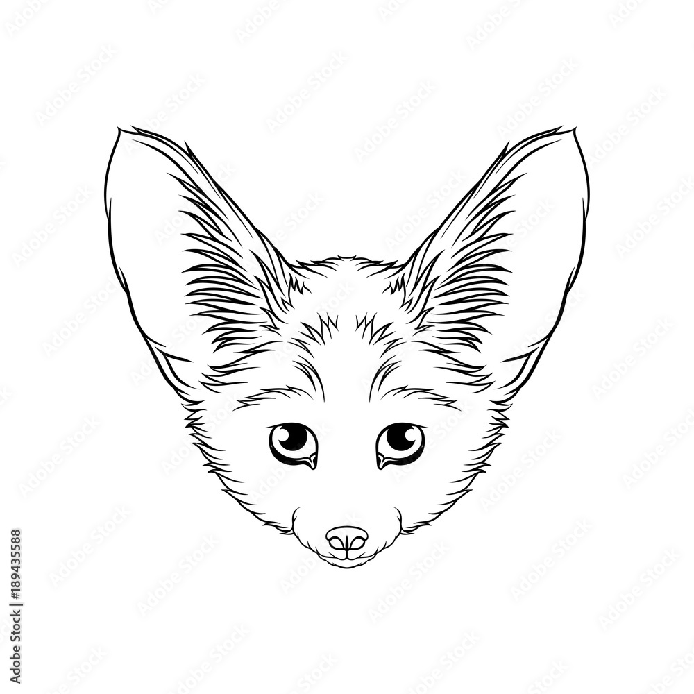 Sketch of desert fennec fox head, portrait of forest animal black and ...