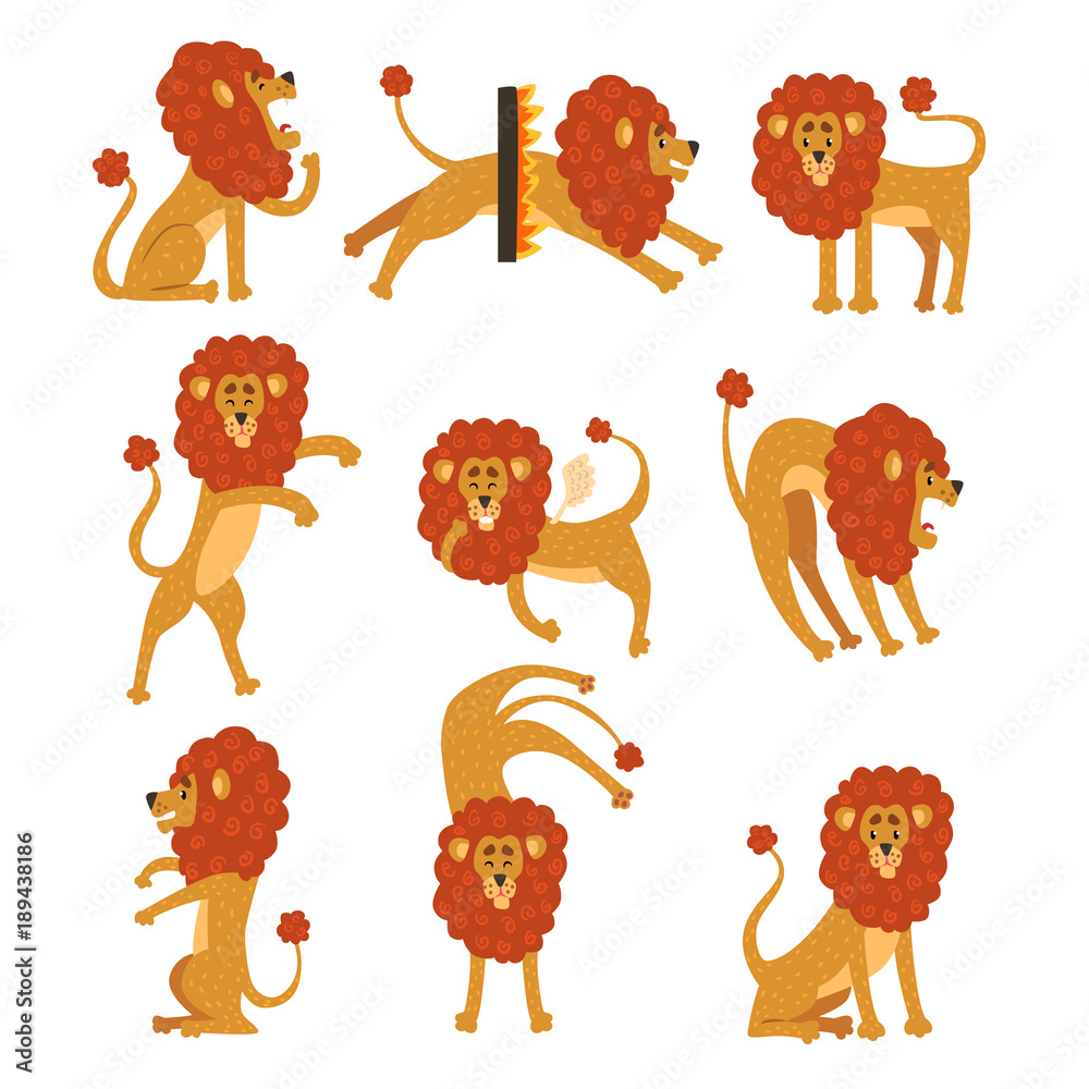 Collection of lion in various poses. Cartoon character of wild African ...