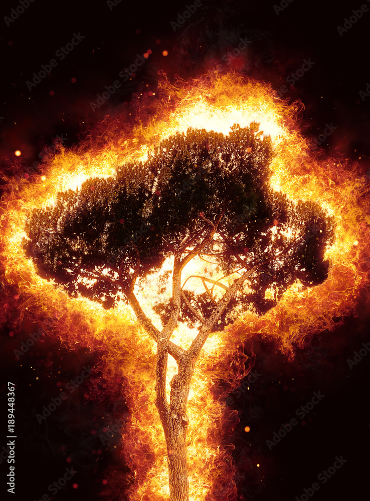Tall leafy tree ablaze with fiery flames Stock Illustration | Adobe Stock