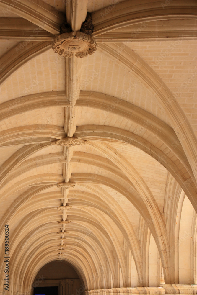 Foto de Voûtes en croisée d'ogives de l'abbaye de Fontevraud, France do ...