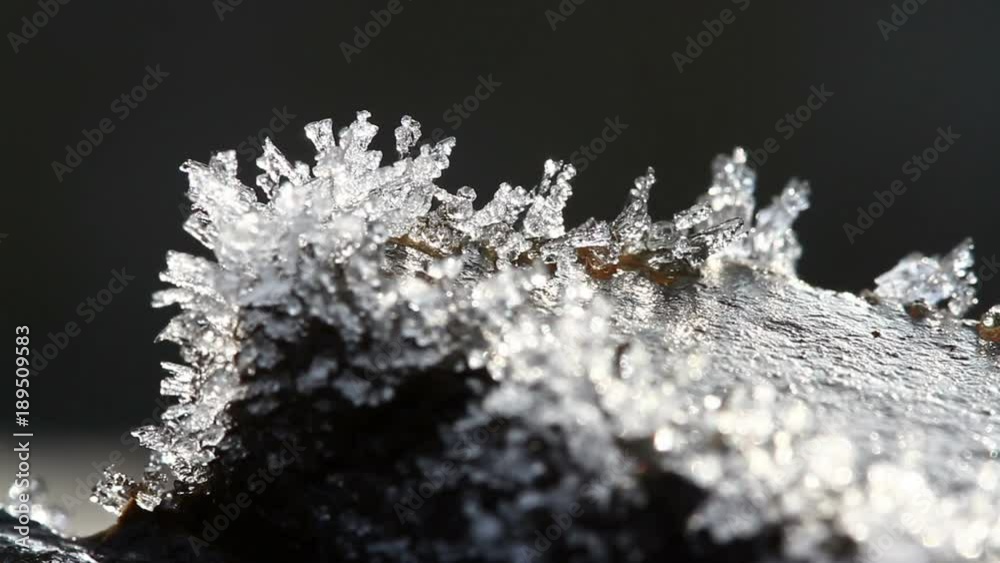 Macro time lapse of melting hoarfrost particles. Majestic beauty of ...