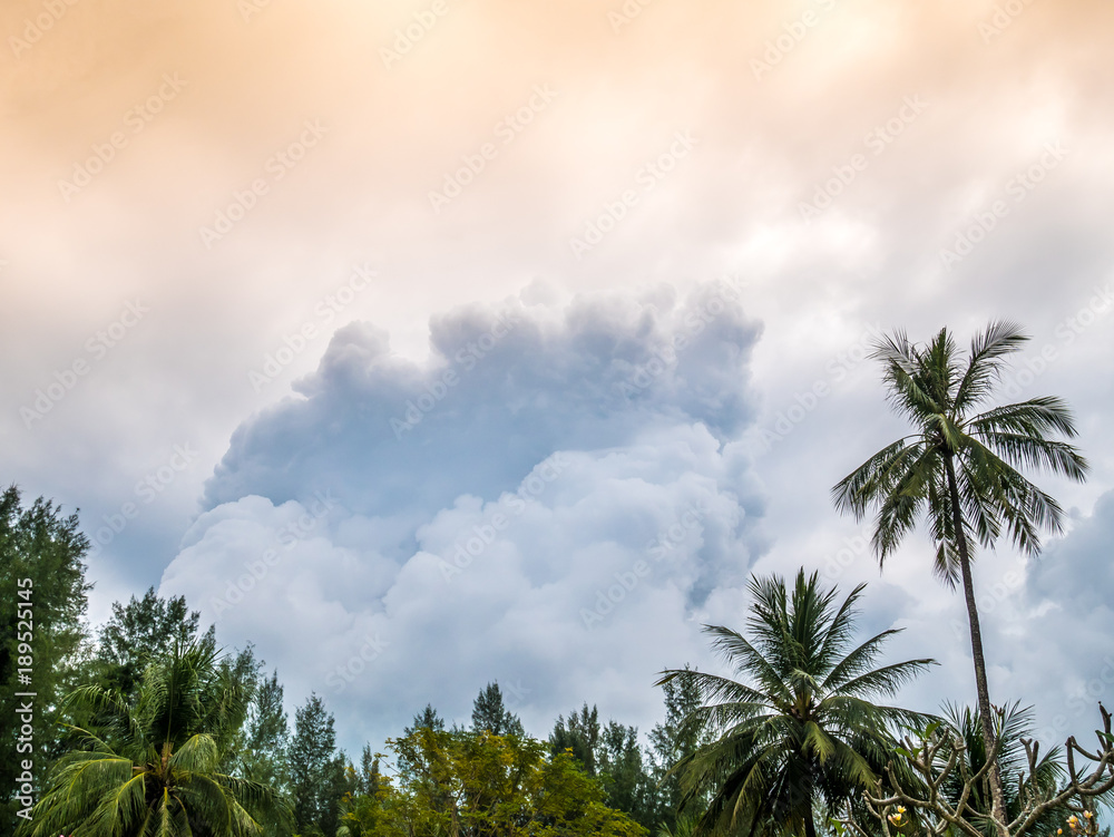 Cyclone or heavy storm weather with massive clouds forming in the sky ...