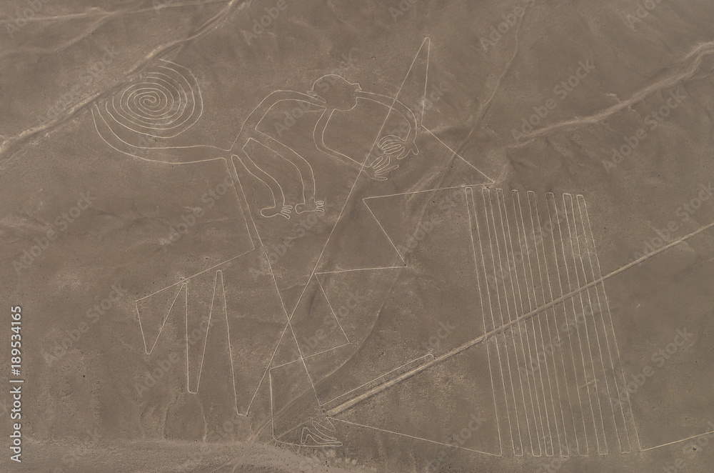 Lines and Geoglyphs in the Nazca desert in Peru, South America Stock ...