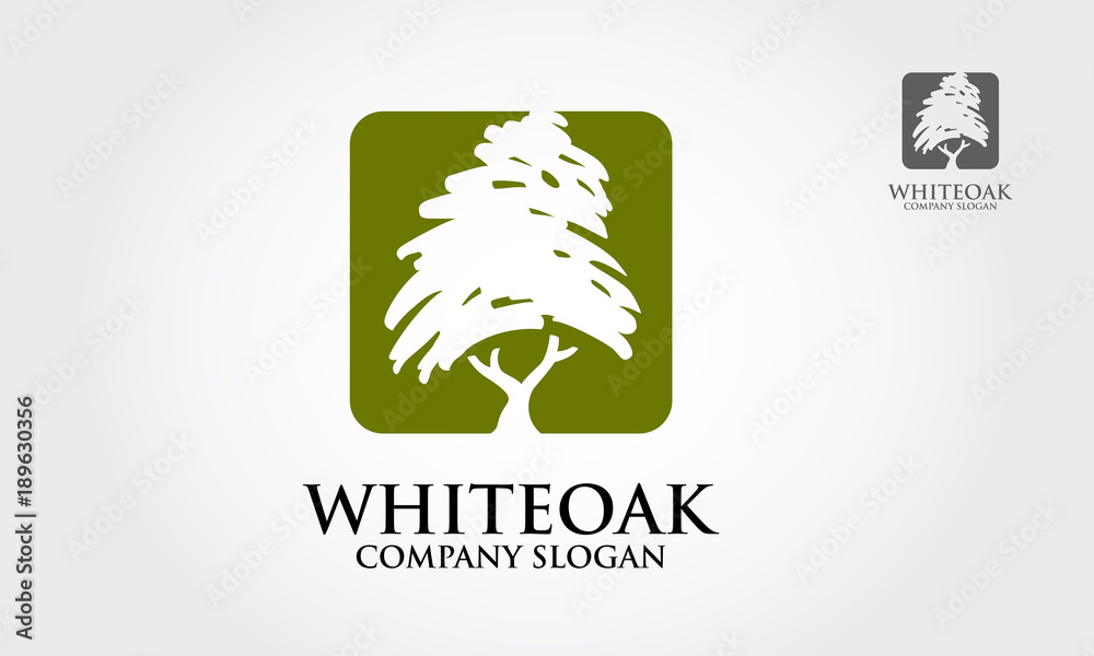 White Oak Tree Logo Template. A simple scratch oak tree silhouette on ...