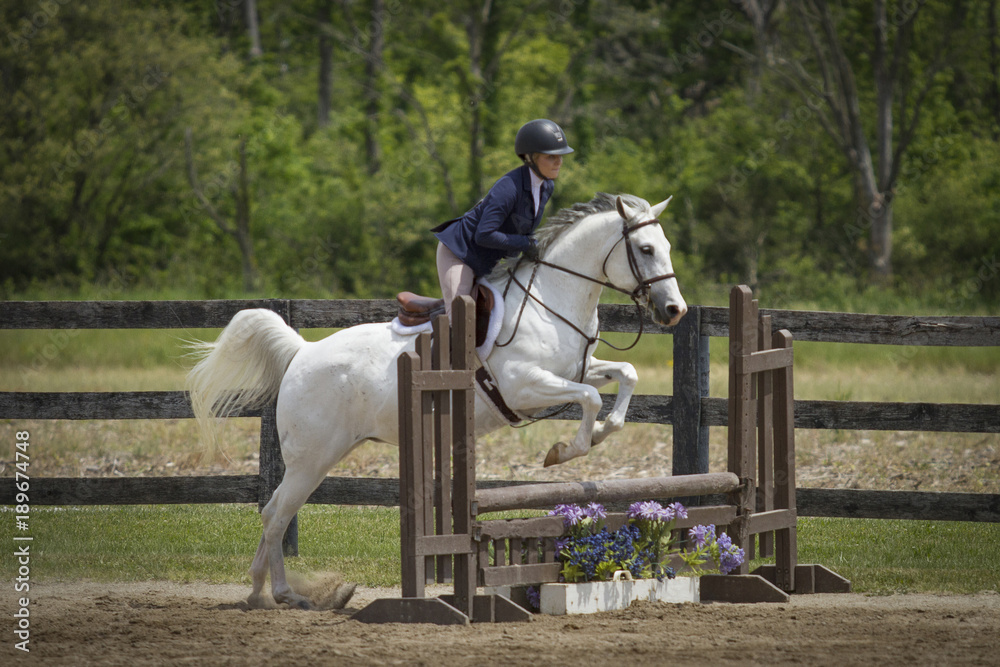 Woman and Arabian Cross over Natural Ladder Fence Stock Photo | Adobe Stock