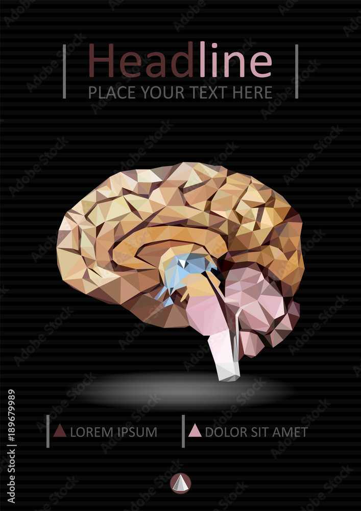 Realistic human brain in low poly. Cover template of dissected brain ...