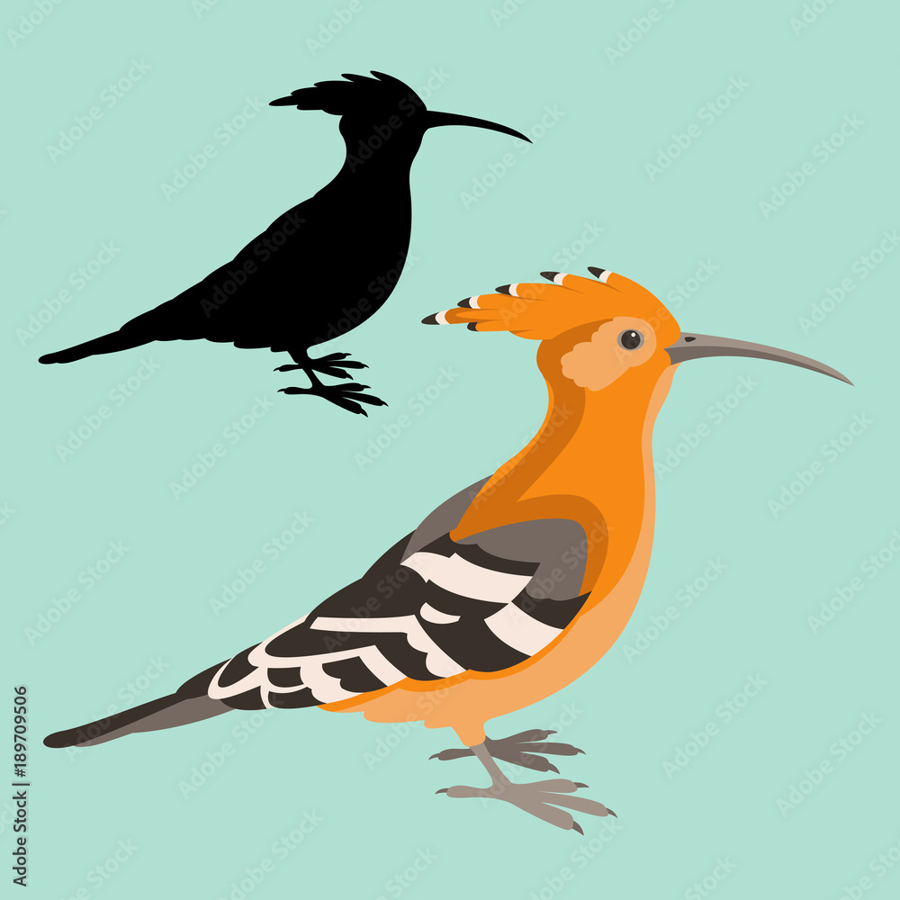 hoopoe bird vector illustration flat style black silhouette profile ...