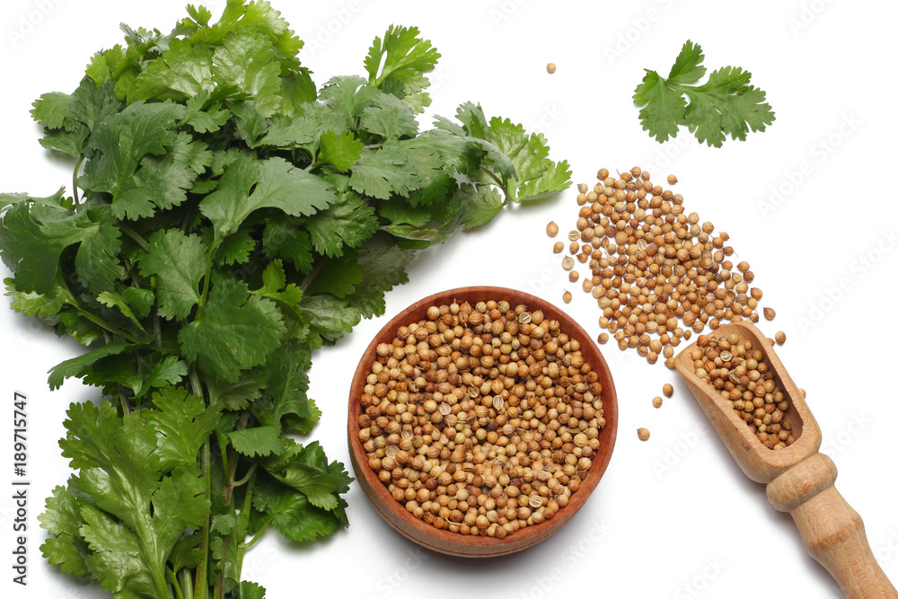 coriander leaves and seeds isolated on white background top view Stock ...