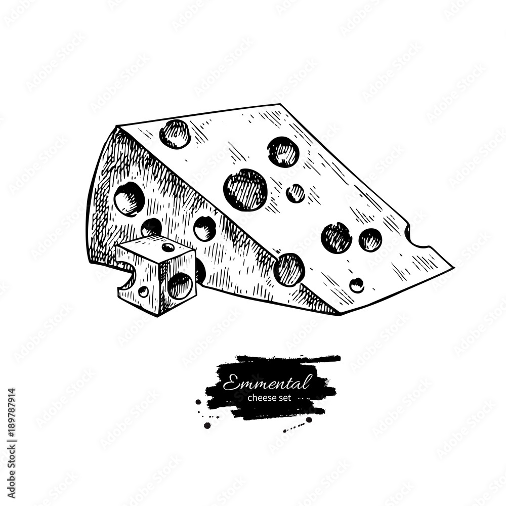 Emmental cheese drawing. Vector hand drawn food sketch. Engraved ...