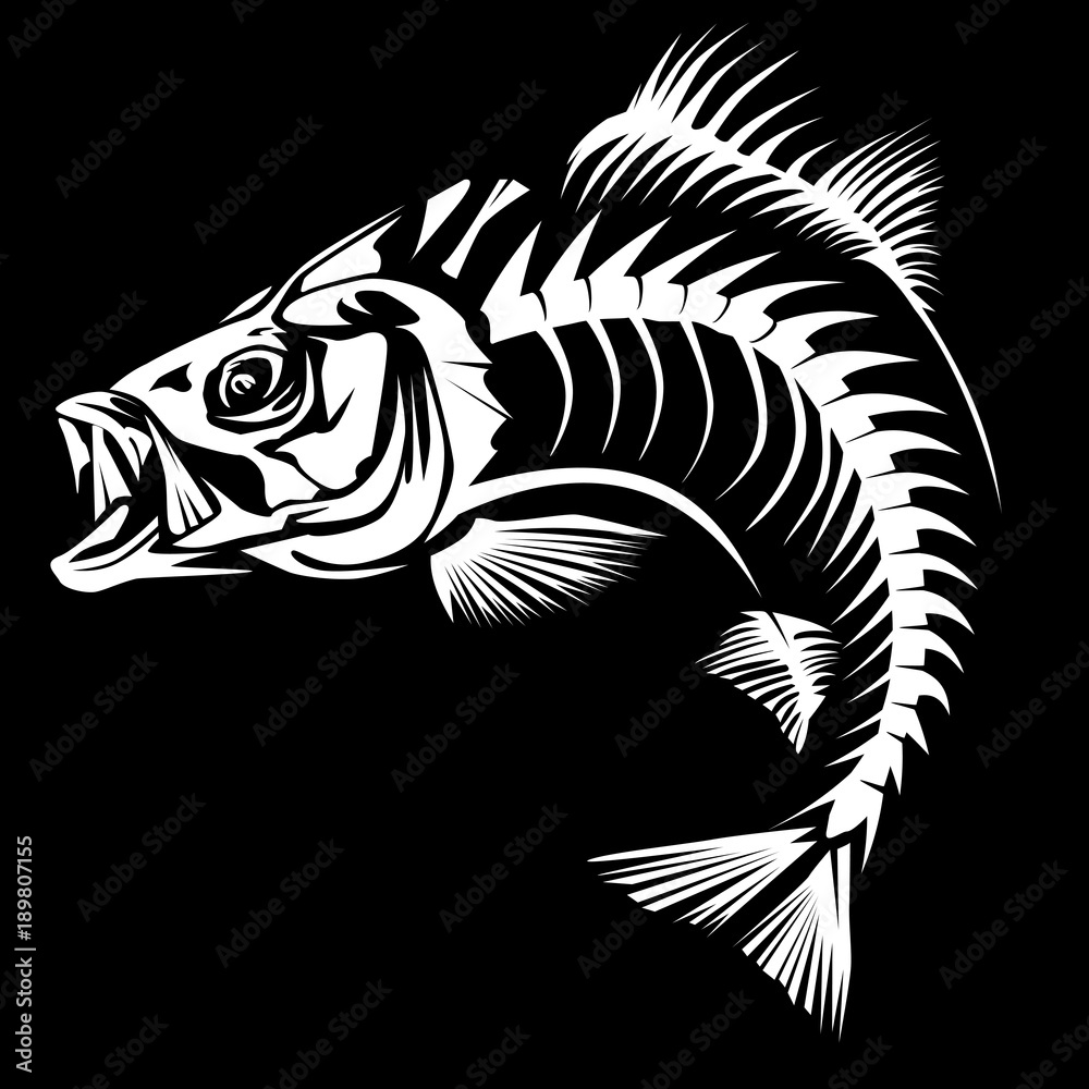 Grilled Striped Bass Skeleton