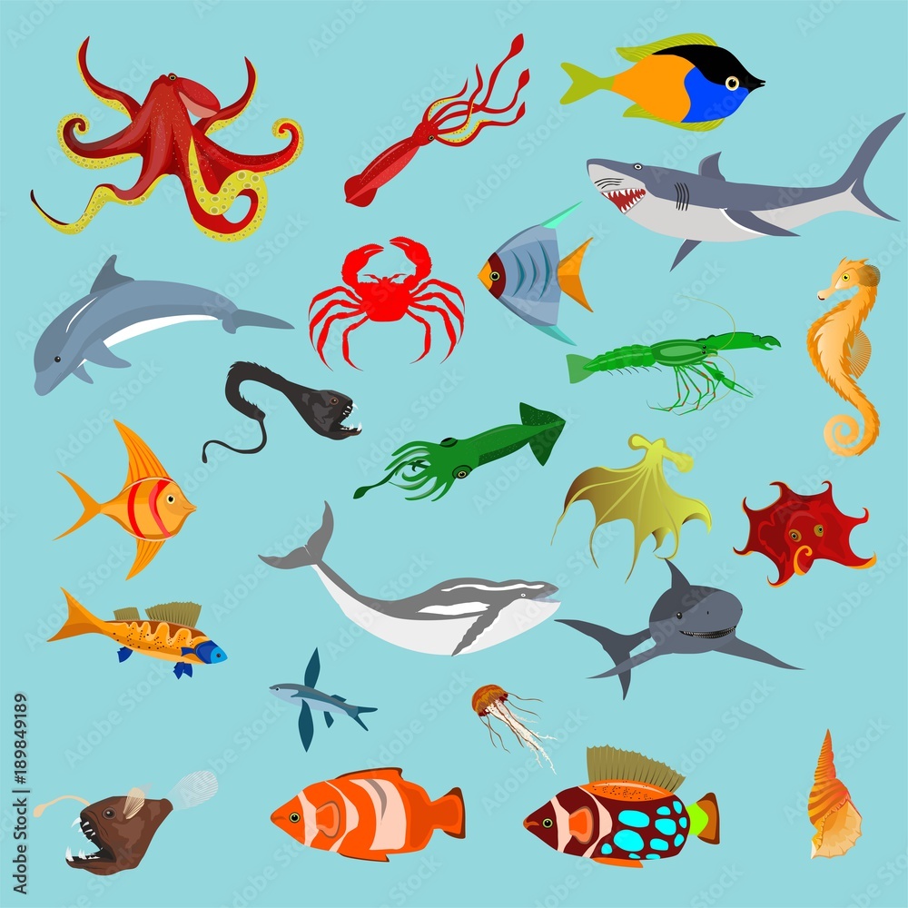 Marine Ecosystem Animals