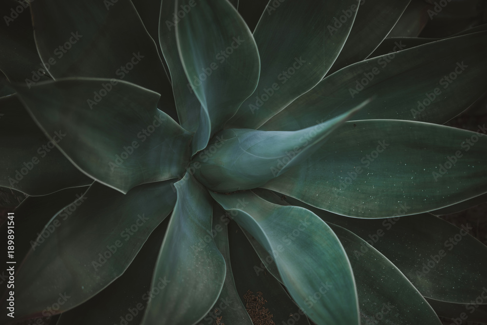 Background Stock Photo | Adobe Stock