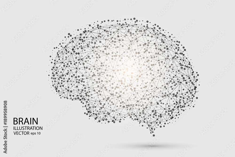 The human brain consists of lines and triangles. The illustration is ...