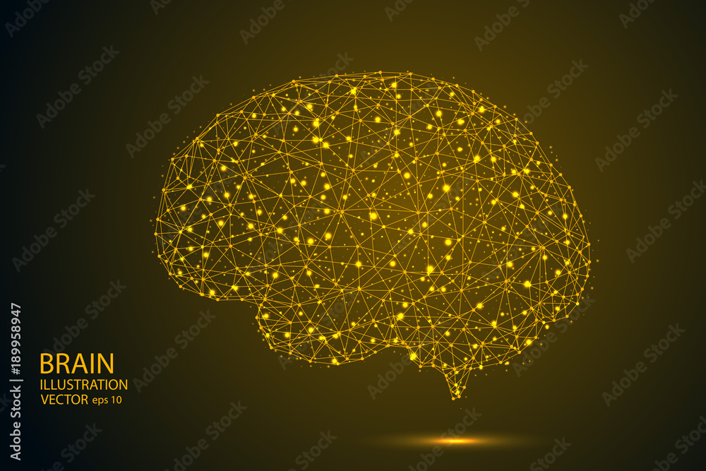 The human brain consists of lines and triangles. The illustration is ...