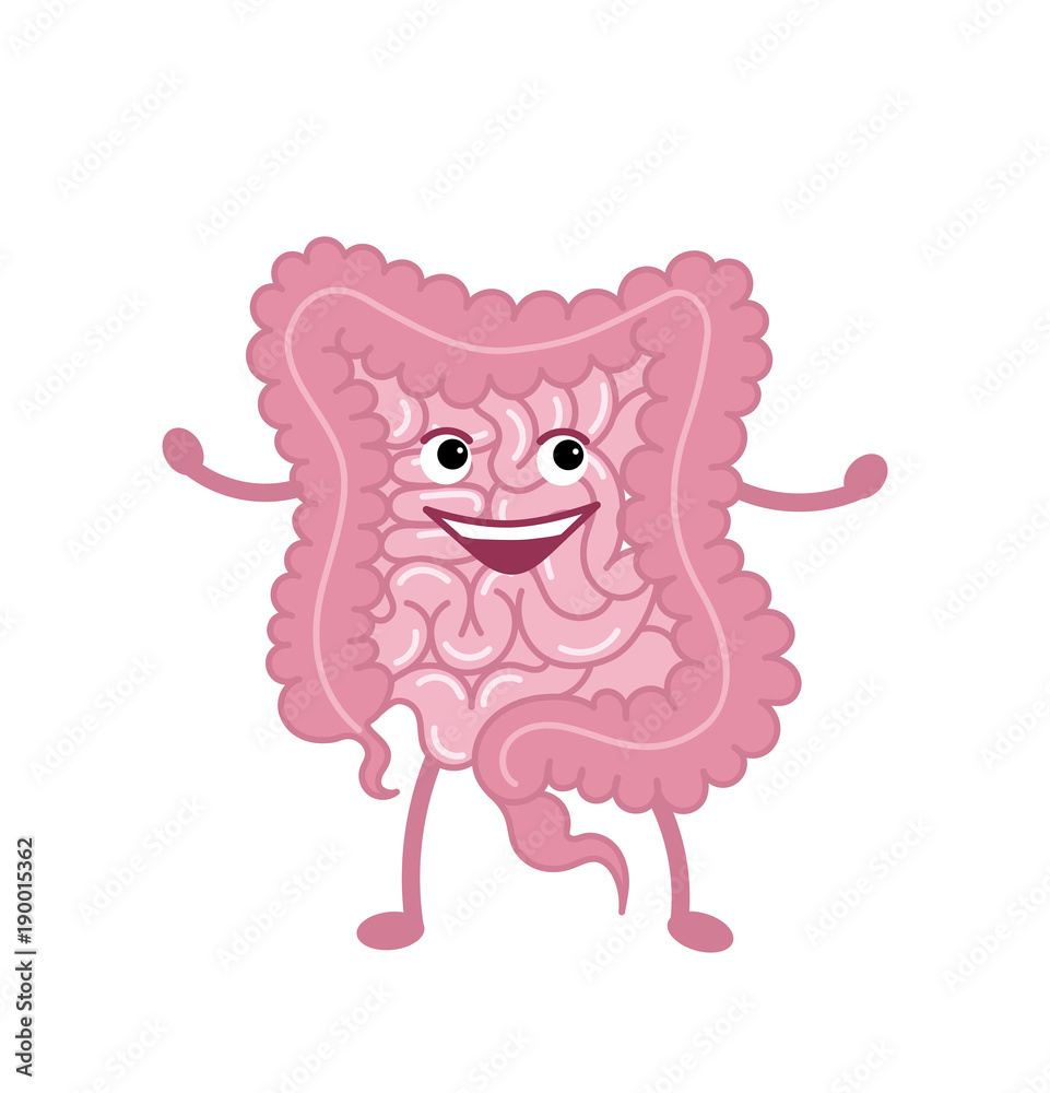 Healthy happy intestine character.Digestive system,intestine vector ...