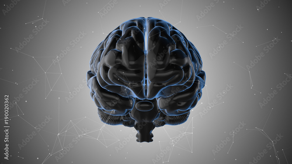 AI Artificial intelligence brain digital robotic brain deep learning ...