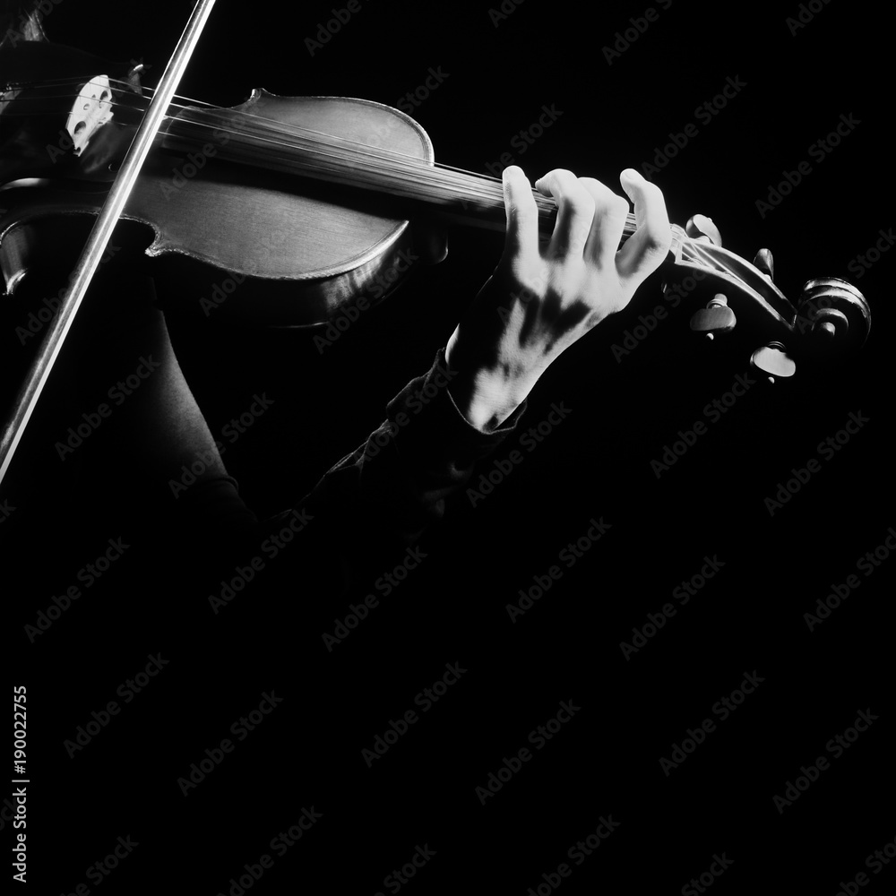 Violinist Photography