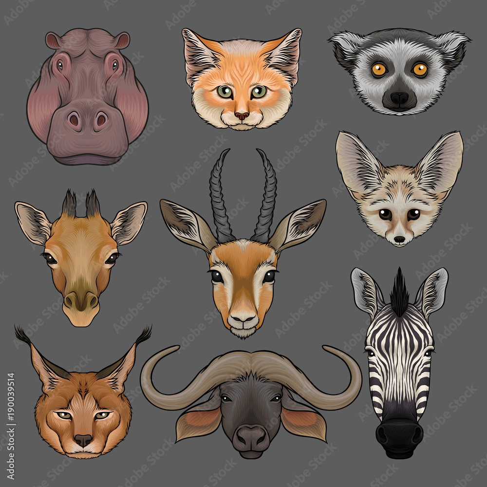 Head of wild animals set, portrait of hippo, lynx, fox, fenech, lemur ...