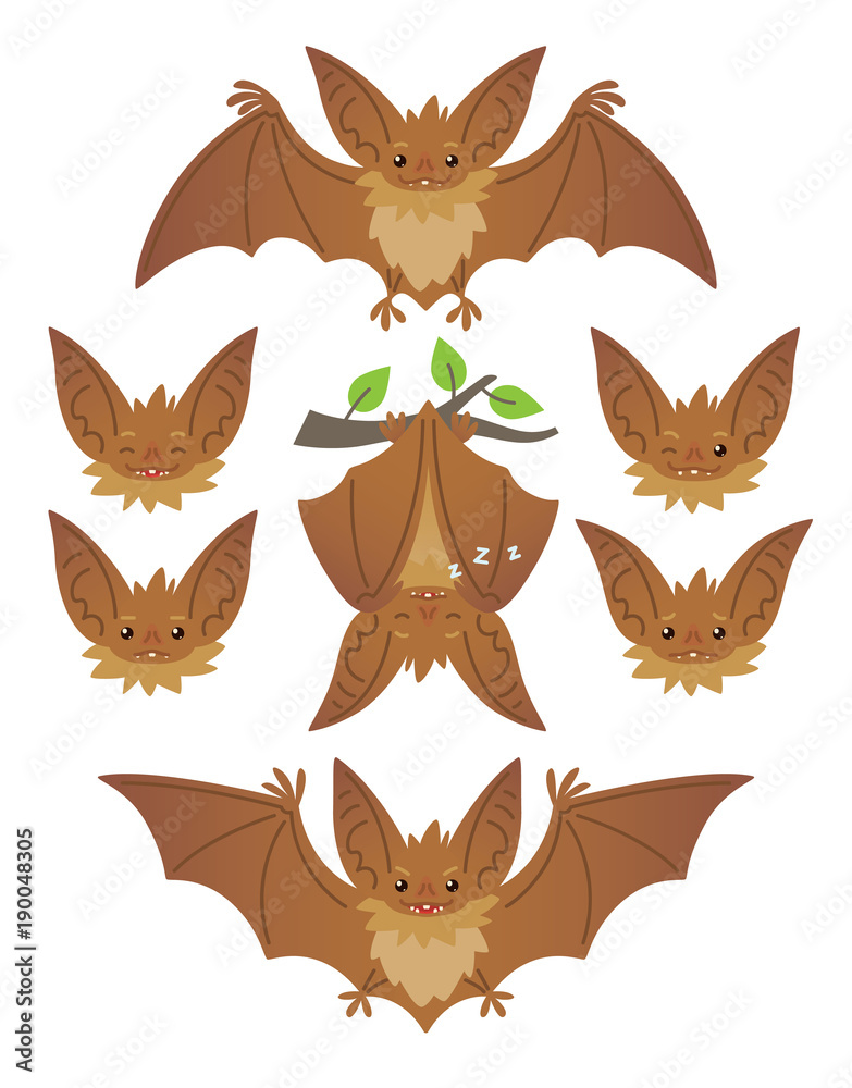 Bat in various poses. Flying, hanging. Brown bat-eared snouts with ...