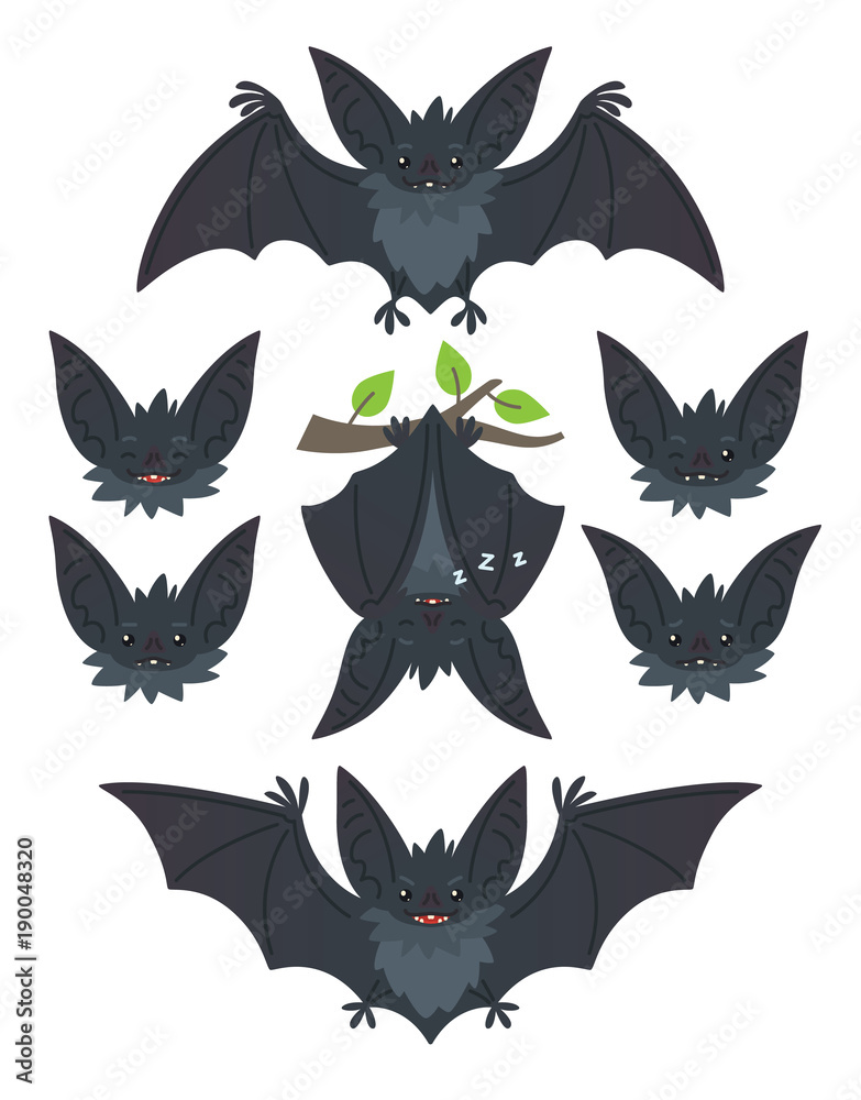 Bat in various poses. Flying, hanging. Grey bat-eared snouts with ...