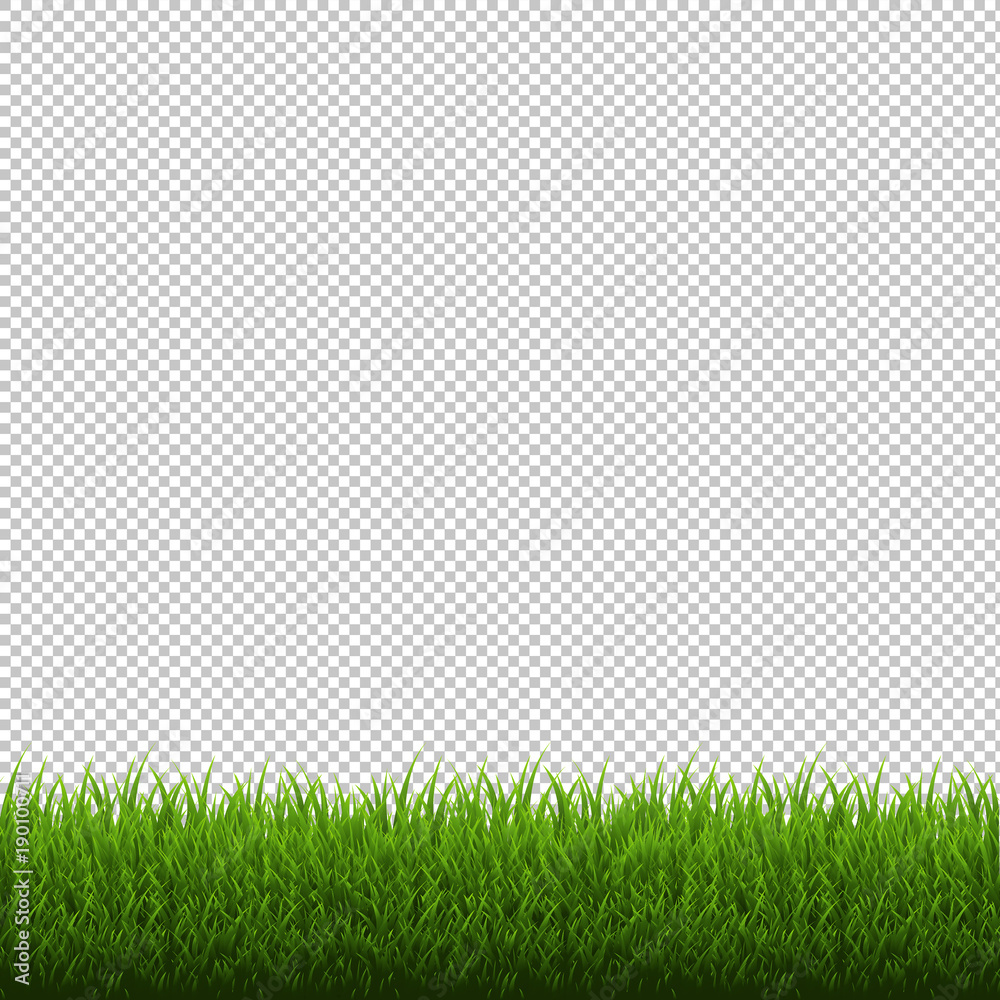 Grass Border Isolated Transparent Background Stock Vector | Adobe Stock