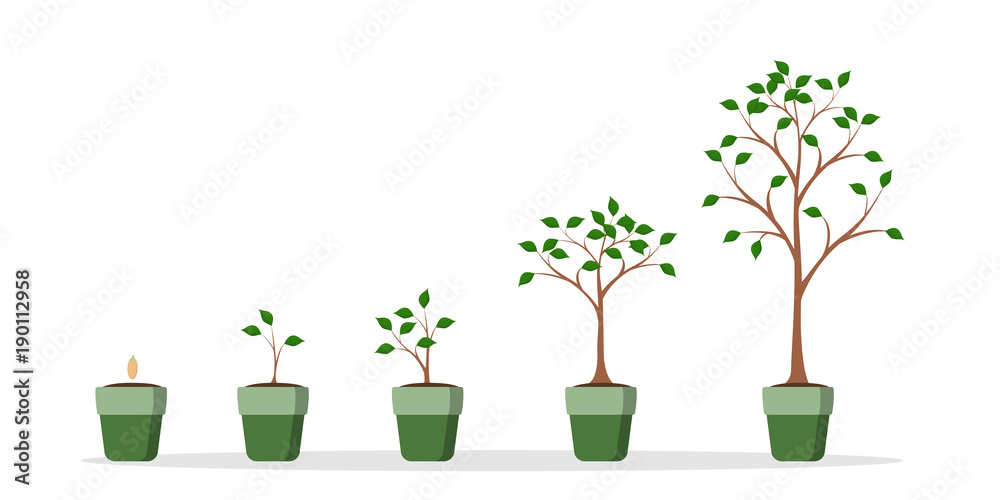 Tree growing set. Stock Vector | Adobe Stock