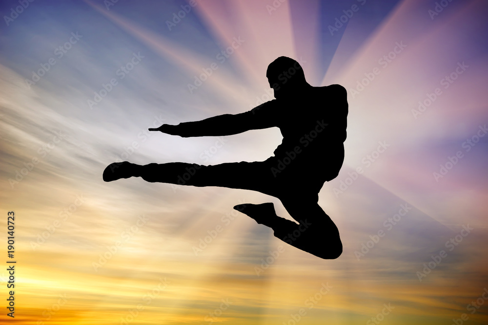 Person Flying Silhouette