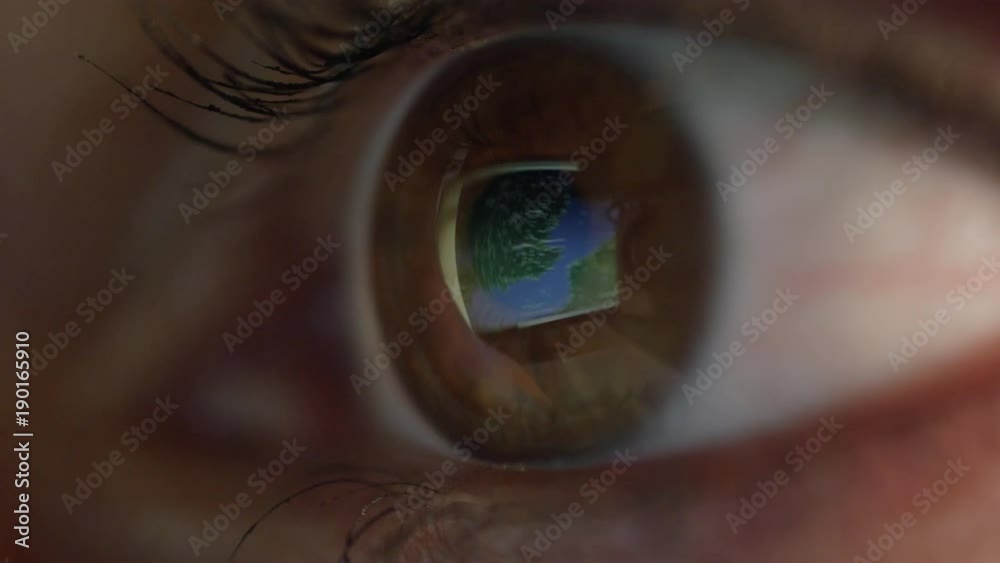 MACRO CLOSE UP: Blinking eye looking at world map. Computer screen ...