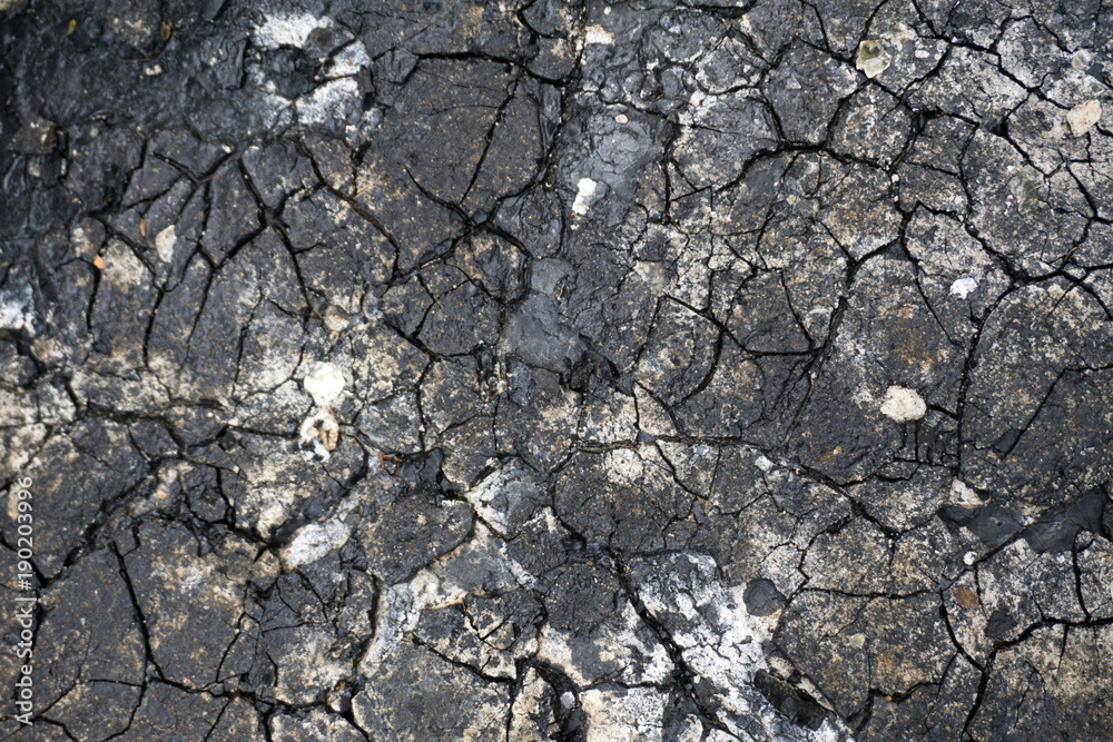 Texture, background, seamless pattern. This is useful for designers ...