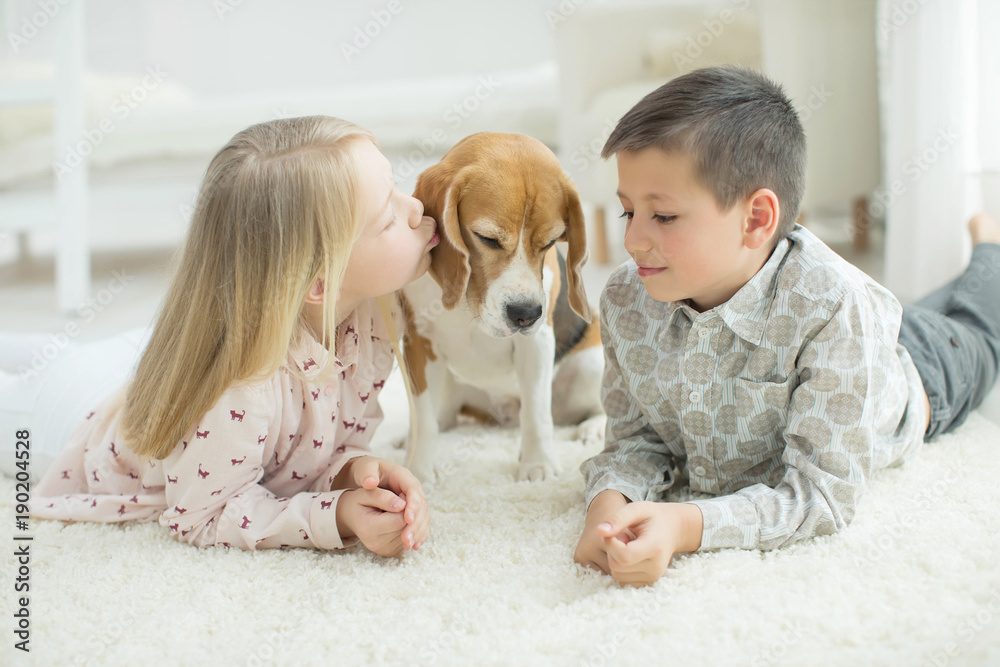 Children with a dog Stock Photo | Adobe Stock