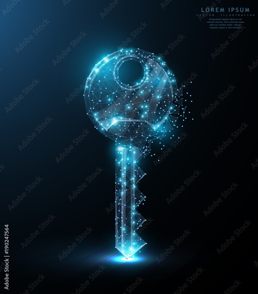 Key. Polygonal wireframe mesh art with crumbled edge looks like constellation. Concept ...