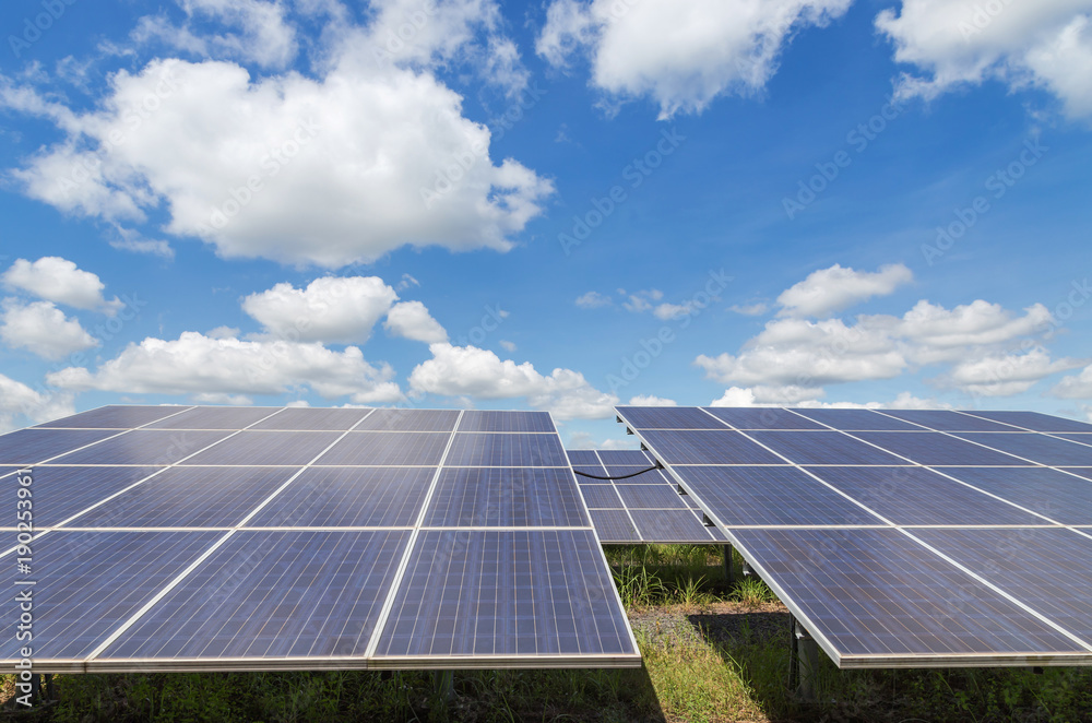 Close up rows array of polycrystalline silicon solar cells in solar ...