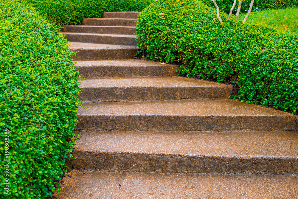 Step of Brown small stone and concrete stair with green plant beside ...