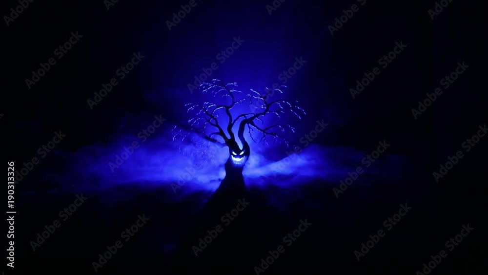 Silhouette of scary Halloween tree with horror face on dark foggy toned ...