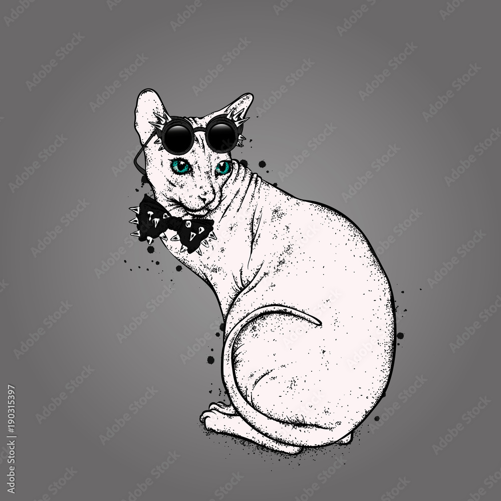 Beautiful bald cat with glasses and a tie with thorns. Cat of Sphynx ...