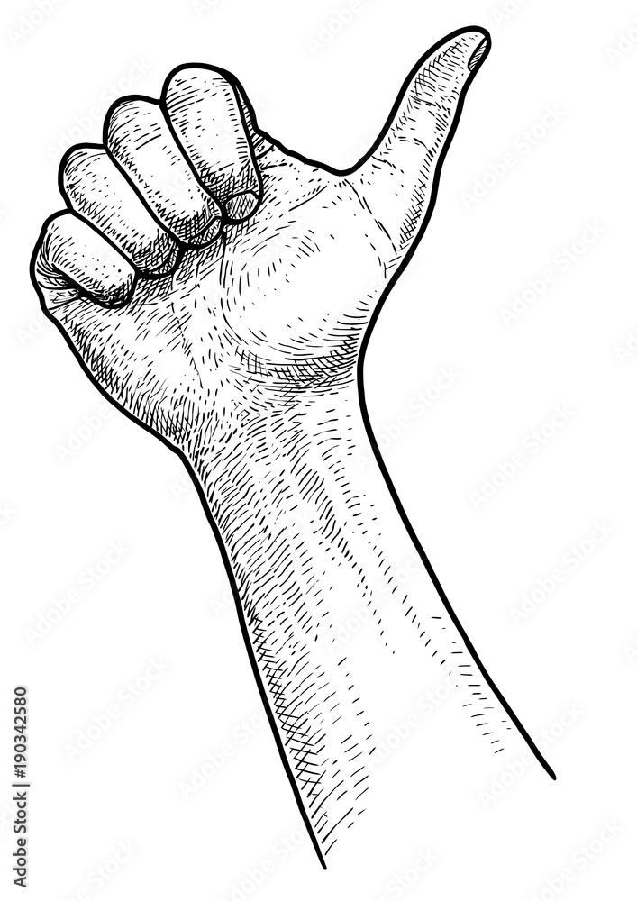Hand illustration, drawing, engraving, ink, line art, vector Stock ...