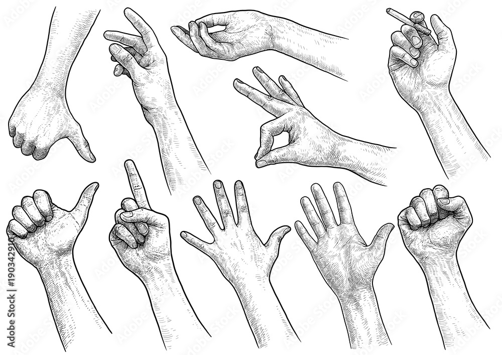 Hand Gesture Collection Illustration Drawing Engravin Vrogue co hand-gesture-collection-illustration-drawing-engravin-vrogue-co