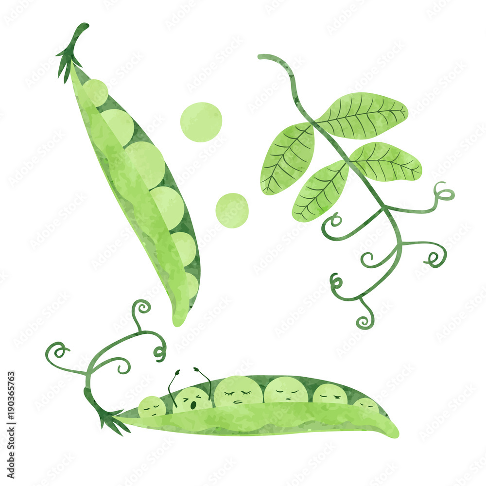 Cartoon peas set. Cute sleeping peas in the pod. Vector watercolor ...
