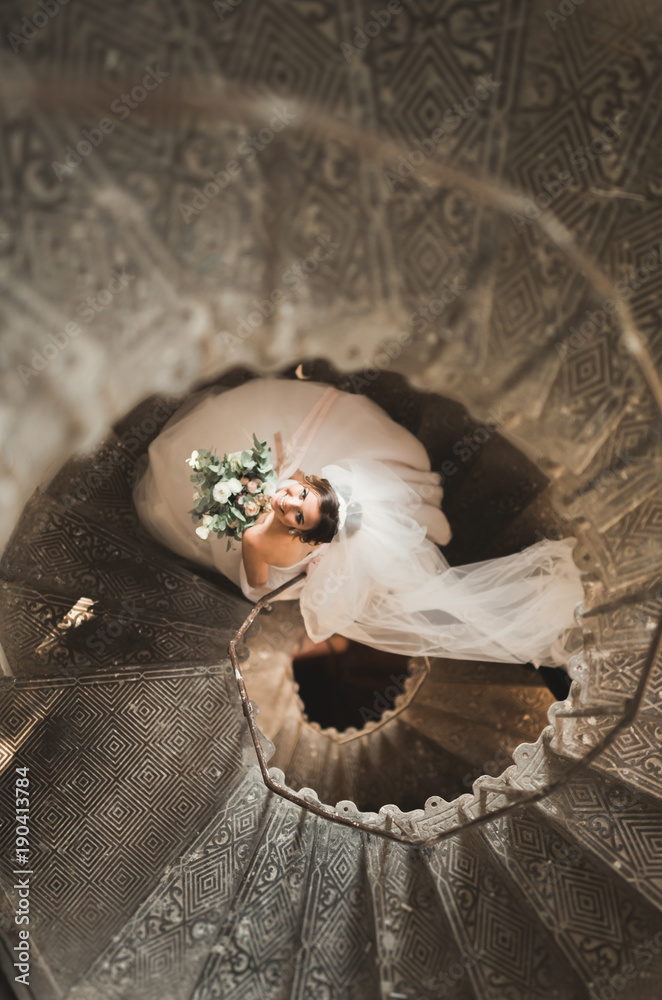 Beautiful bride in magnificent dress stands alone on stairs Stock Photo ...