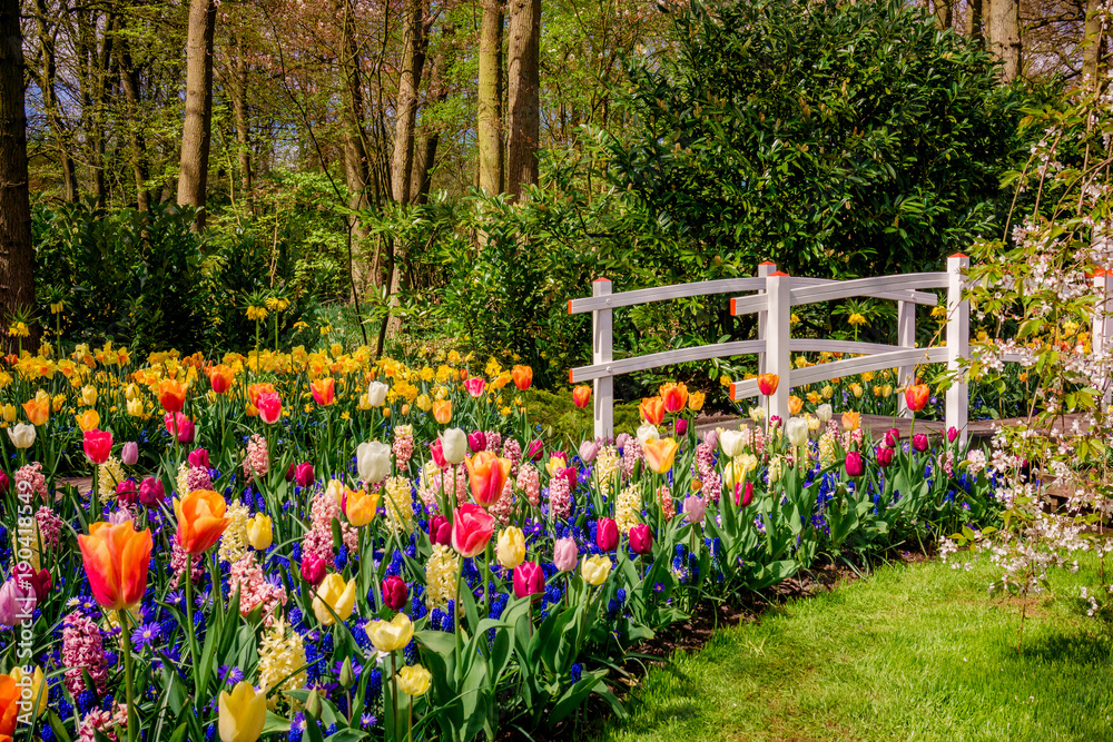 Beautiful garden. Park in The Spring. Spring landscape Stock Photo ...