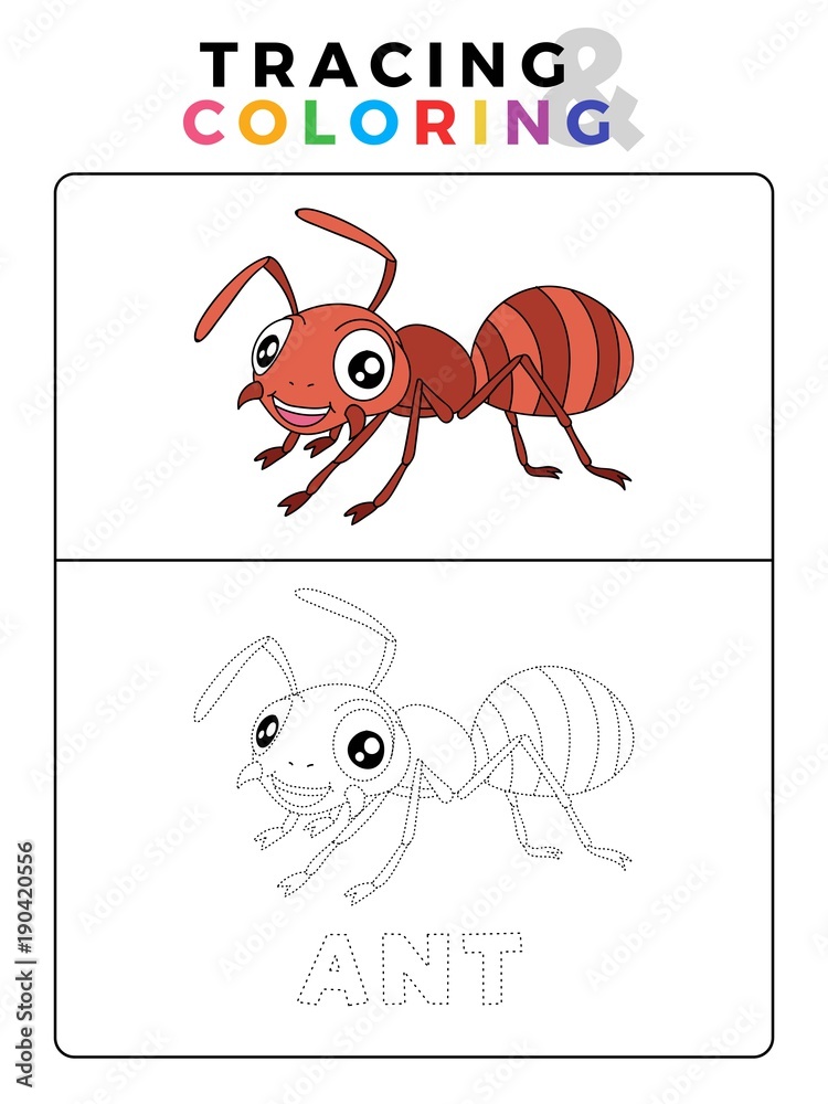 Preschool Insects Coloring Pages