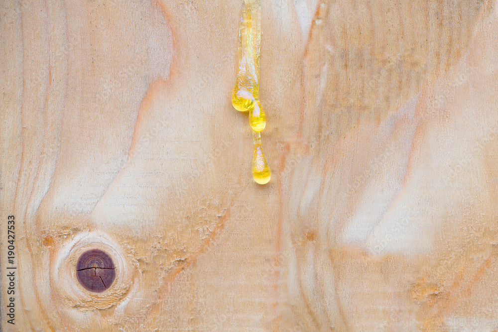Sap oozing from pinewood close up. Bright brown wood background texture ...